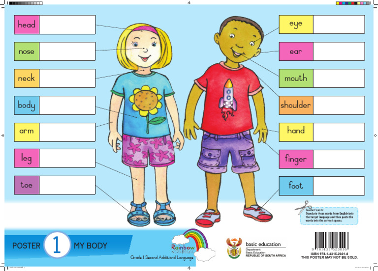 My Body Parts Poster for Grade 1 | PDF