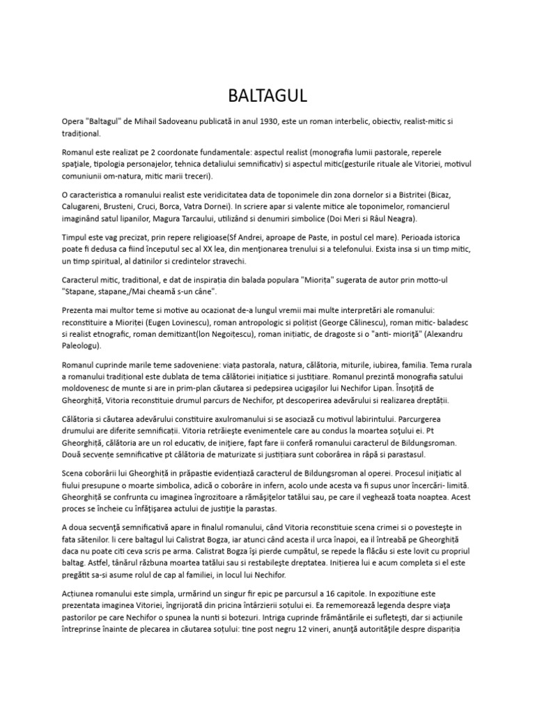Tema Si Viziunea-Baltagul | PDF