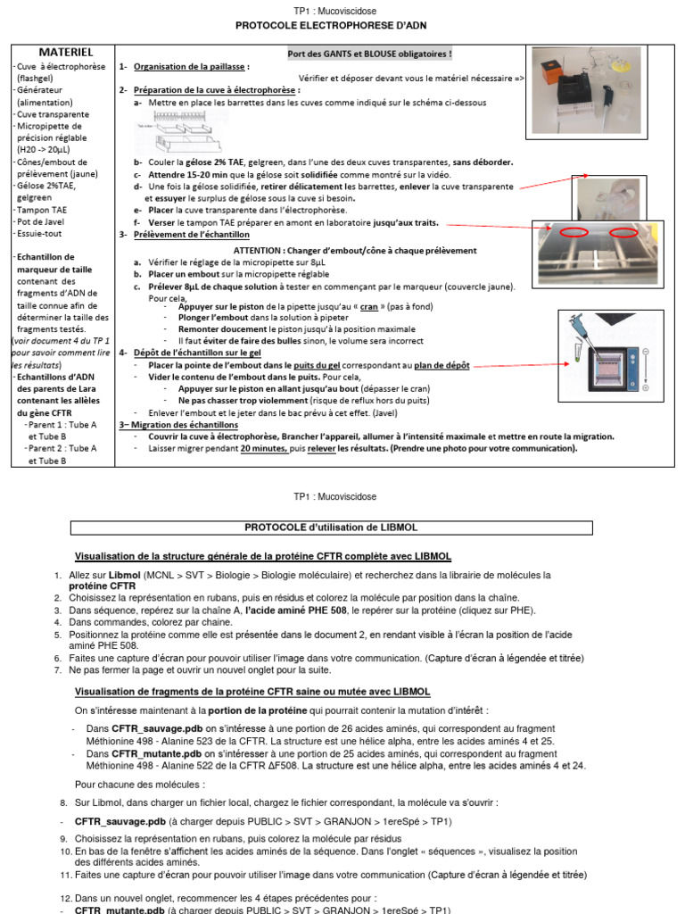 TP1 Protocoles | PDF