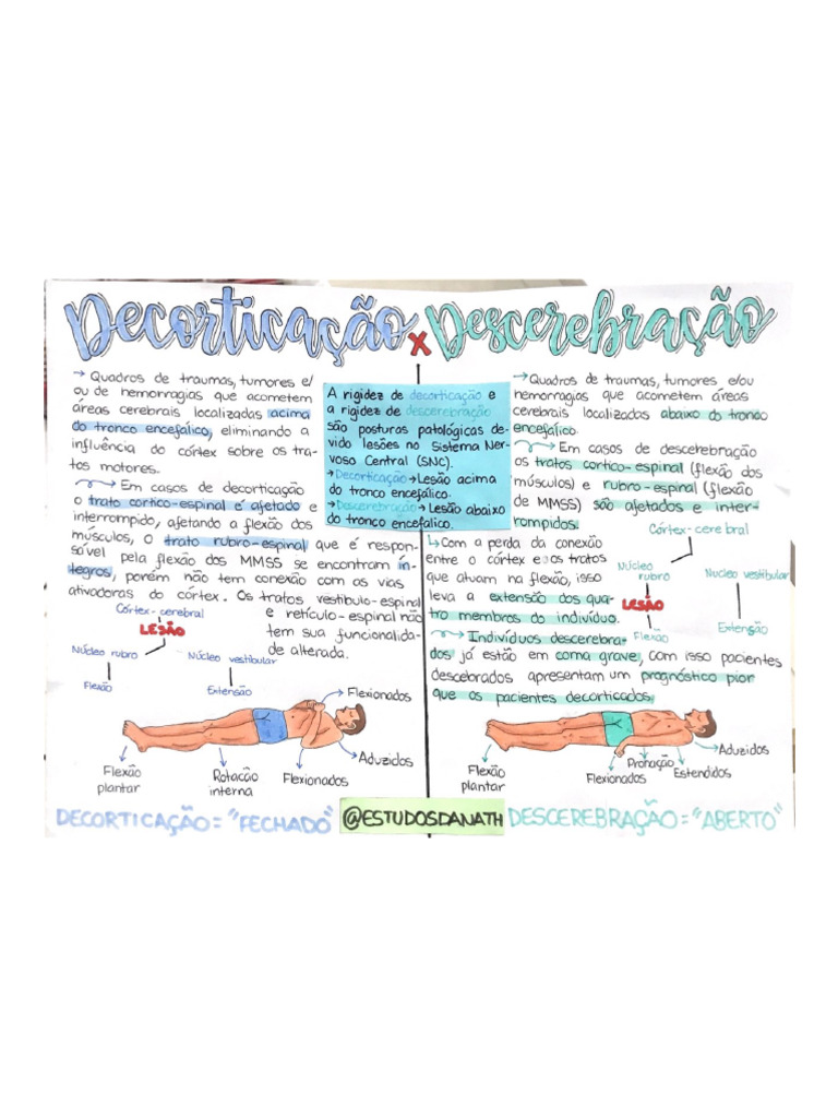 Decorticação X Descerebração | PDF