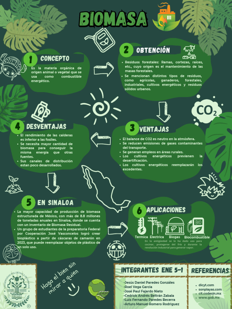 Infografia Biomasa | PDF | Biomasa | Entorno natural