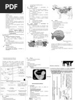 Mat. Estudos - Microbiota Ruminal - Nutrição de Ruminantes | PDF ...