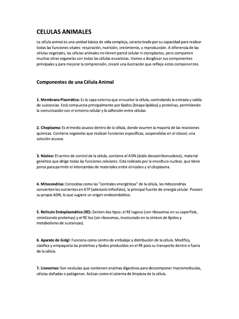 Celulas Animales | PDF