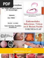 PERFIL TORCH | PDF | El embarazo | Infección