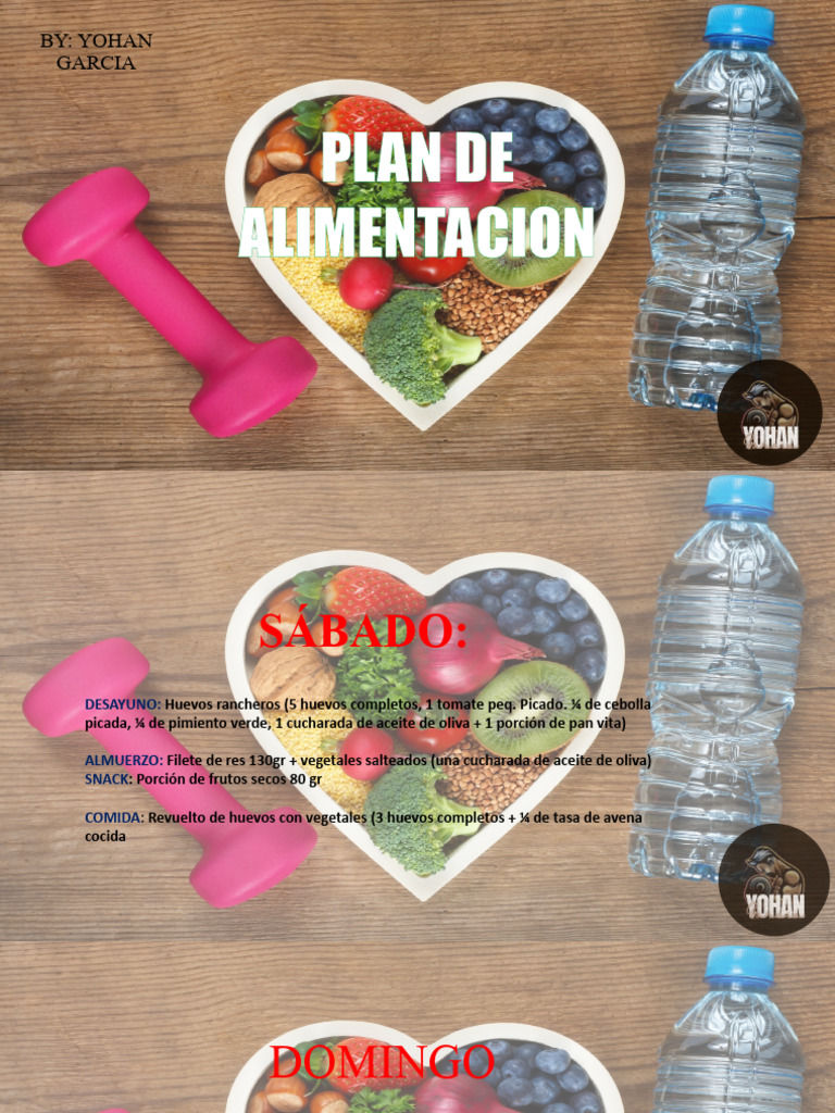 Plan de Alim. Ygg | PDF | Cocina, comidas y vino