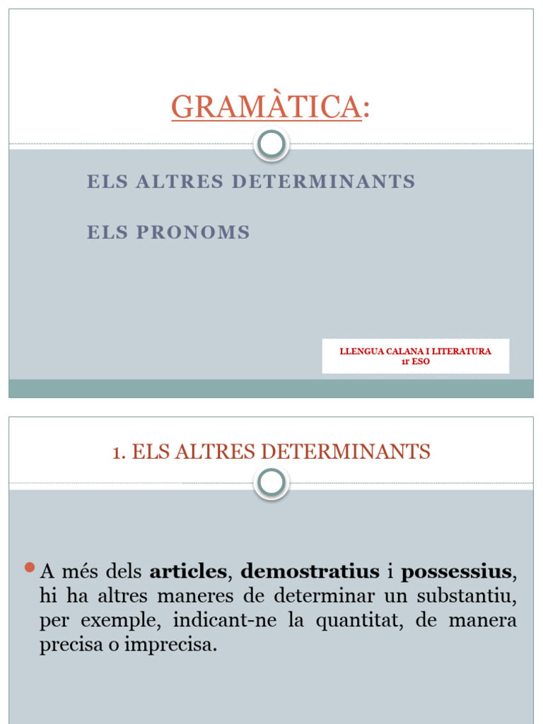 Determinants (II) I Pronoms | PDF