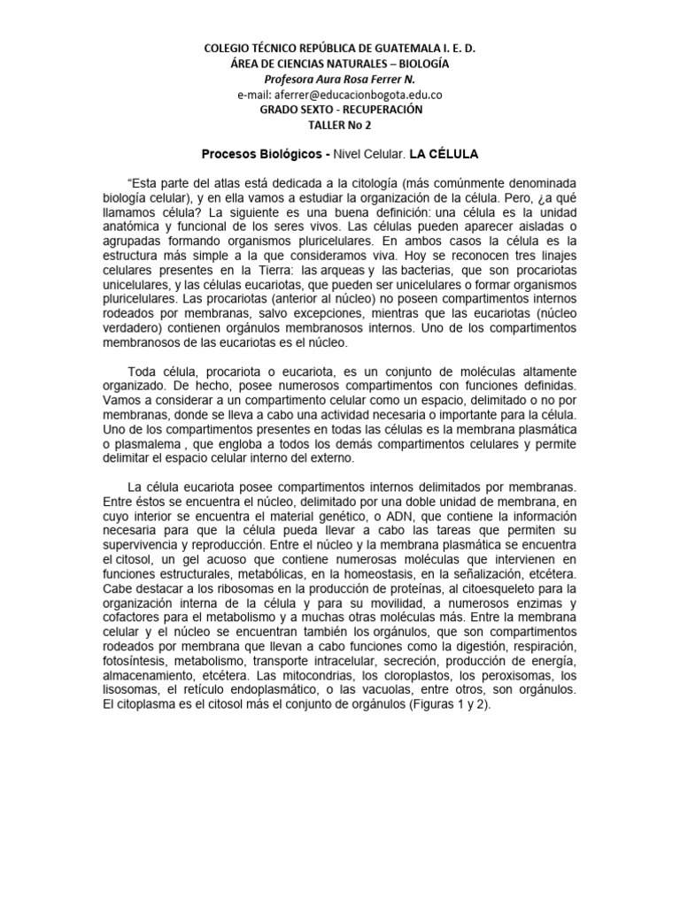 Taller Repaso Sobre La Célula | PDF | Biología Celular) | Membrana celular