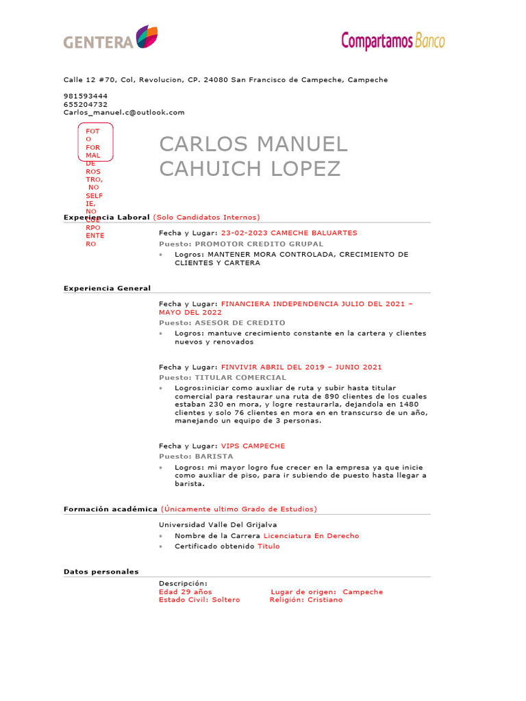 FORMATO CV Institucional | PDF