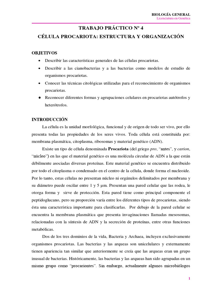 TP N°4 - Procariota | PDF | Biología Celular) | Las bacterias