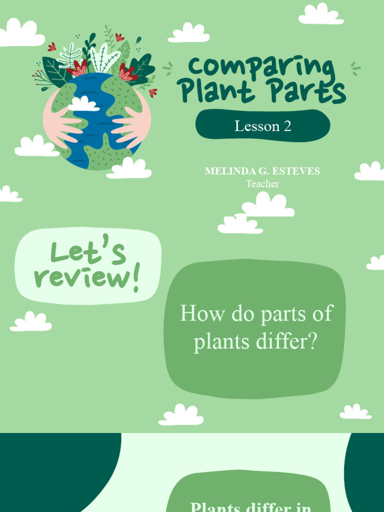 Comparing_Plant_Parts | PDF | Fruit | Root