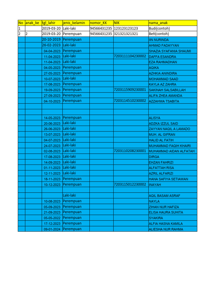 Contoh - Format - Identitas Bayi Balita Desa Sipi | PDF