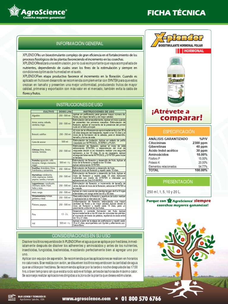 AS FT X Plendor 1 | PDF