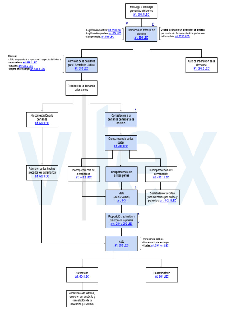 Esquema Terceria de Dominio | PDF