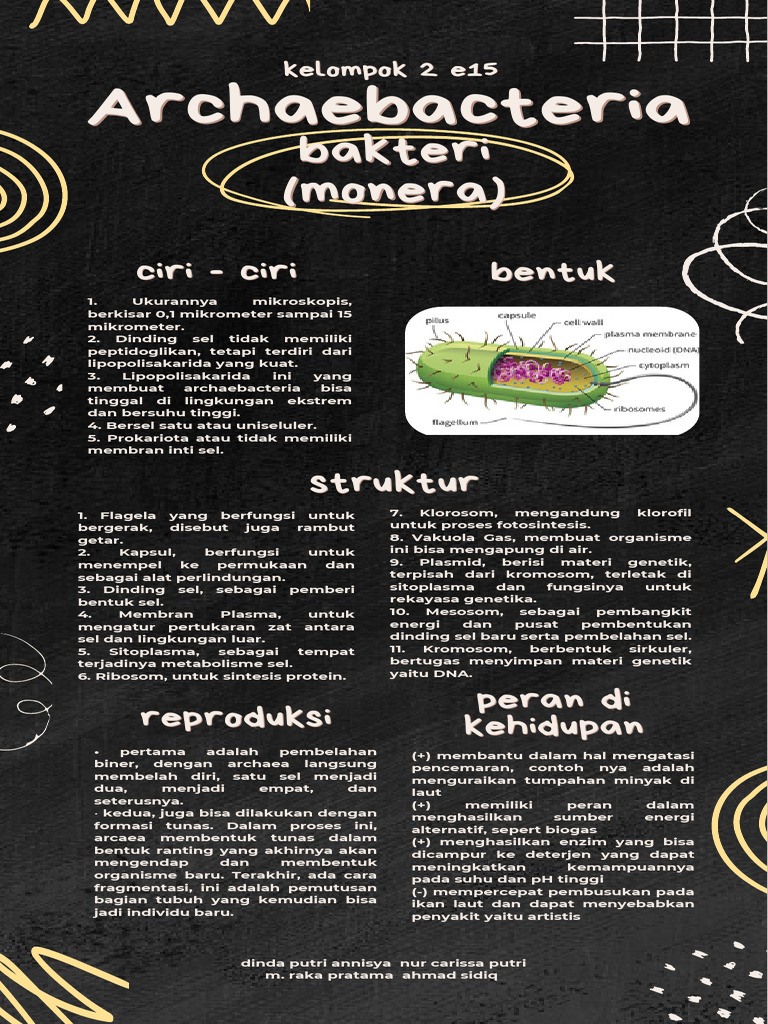 Archaebacteria | PDF