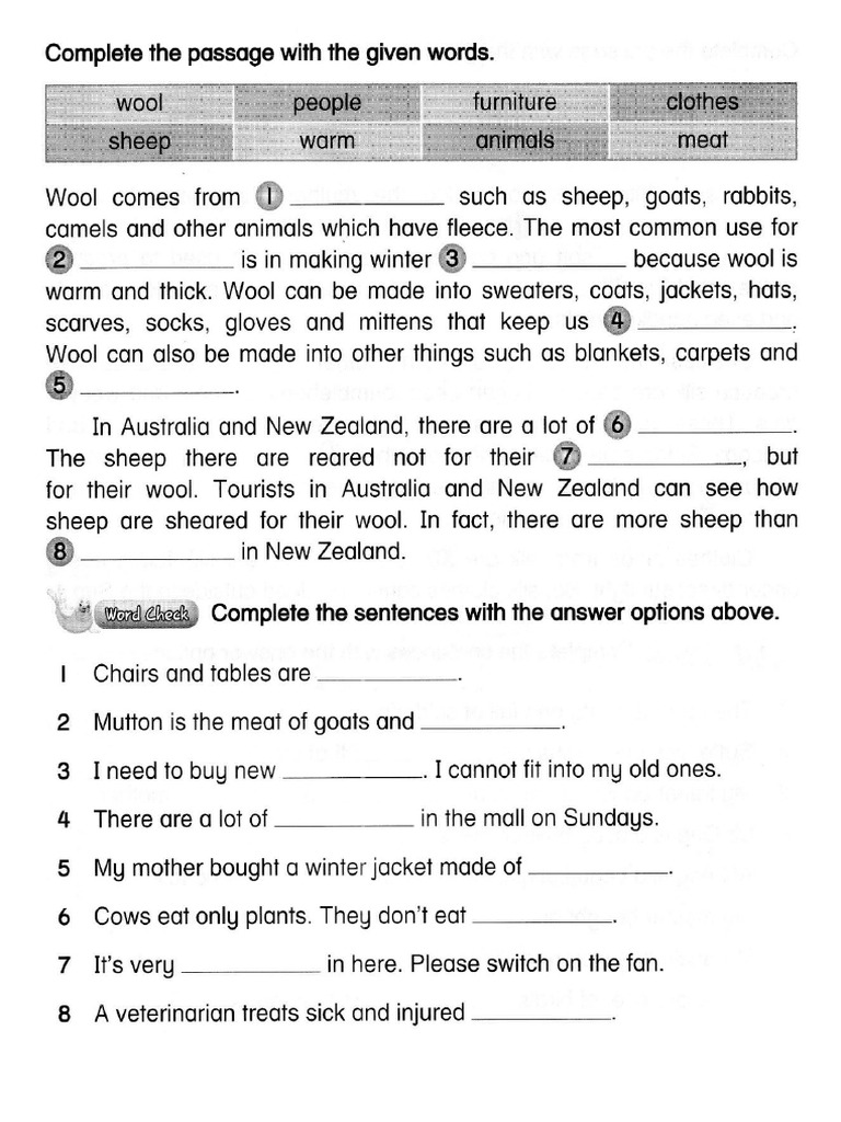 English Exercise Y2 (4) | PDF
