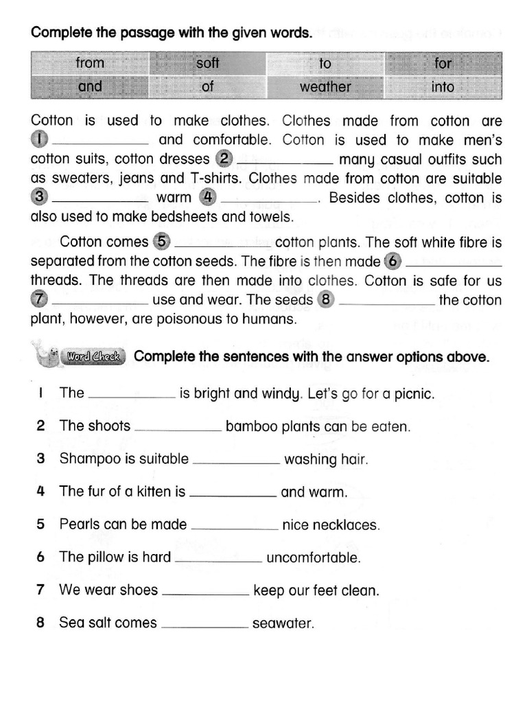English Exercise Y2 | PDF