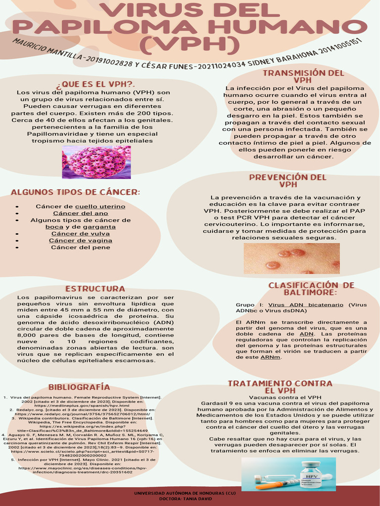 Estructura y tratamiento del VPH | PDF | Virus | Biología