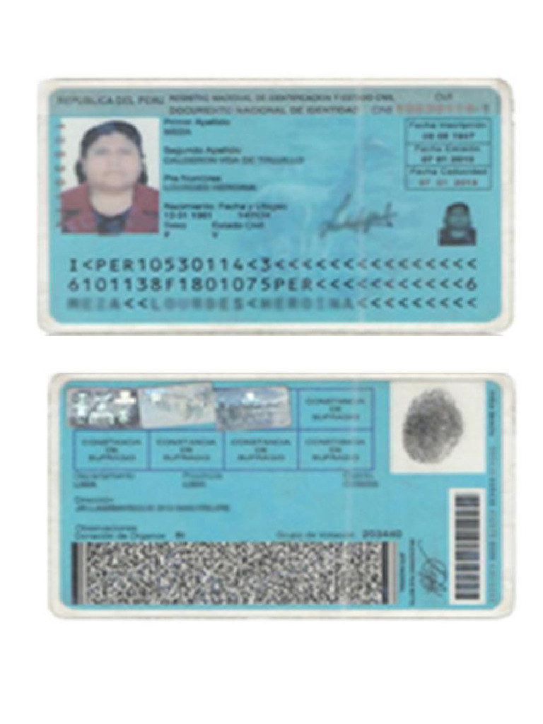 Modelo de Dni Ampliado en PDF | PDF