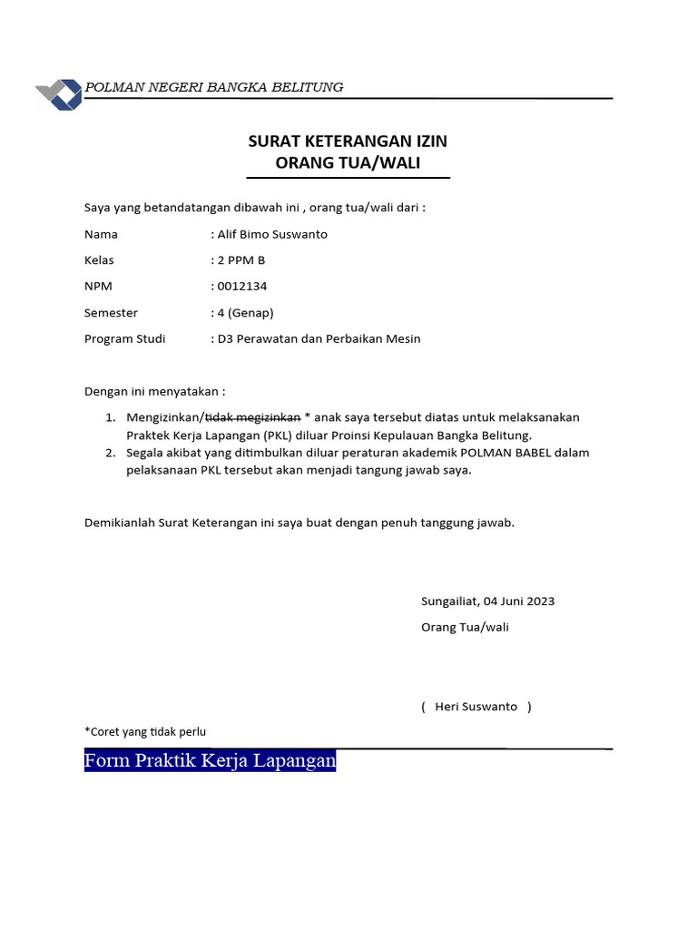CV Alif Bimo | PDF