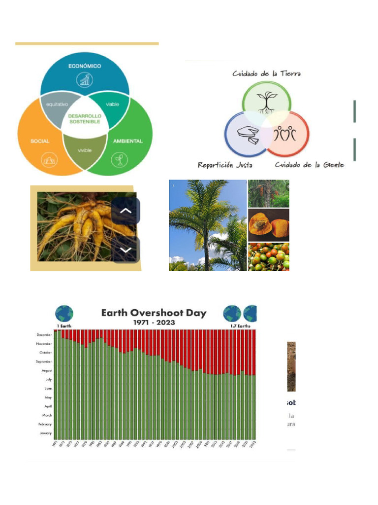 Biol) | PDF Biol) | PDF