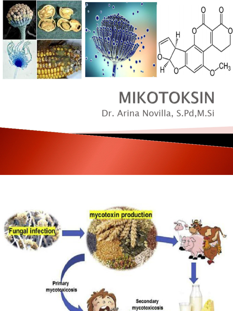 Mikotoksin | PDF