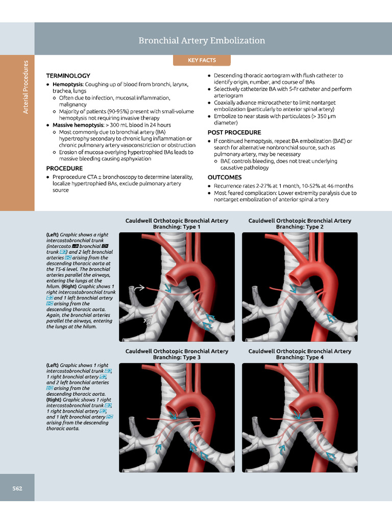 Bronchial Artery