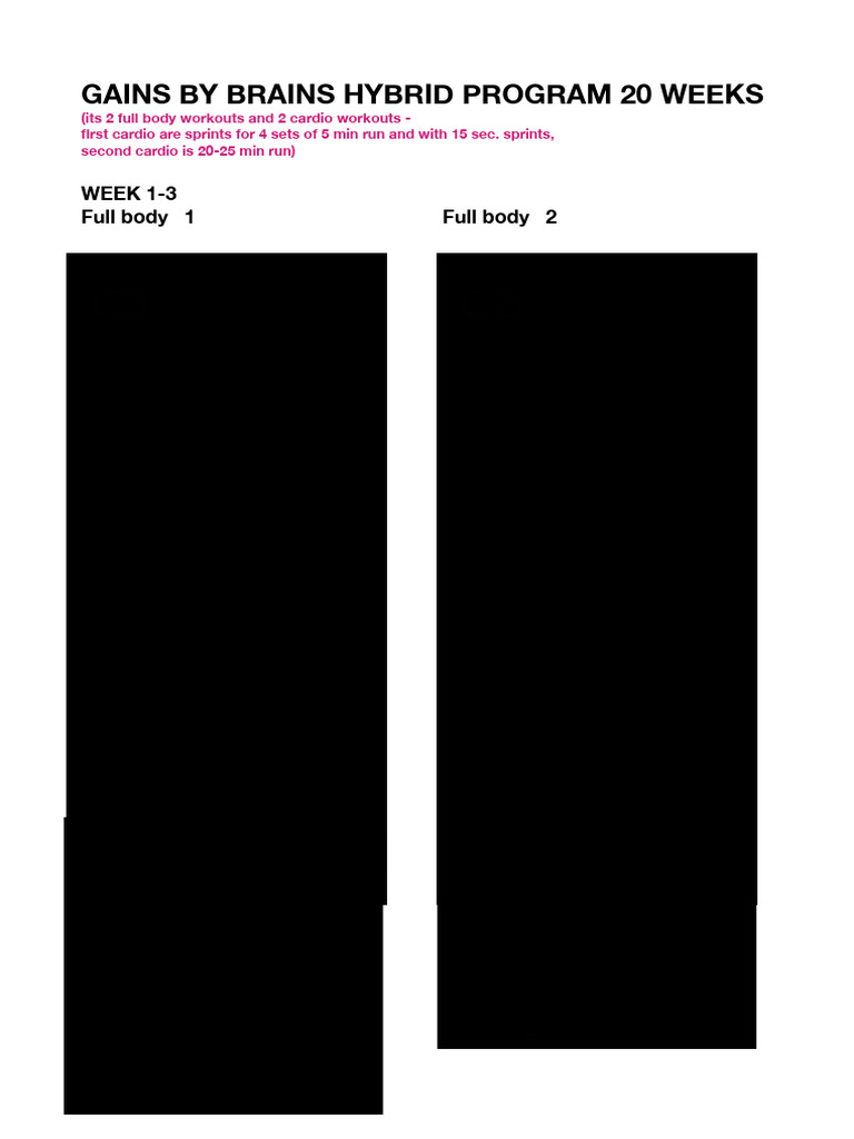 Gains by Brains Hybrid App Program 20 Weeks | PDF