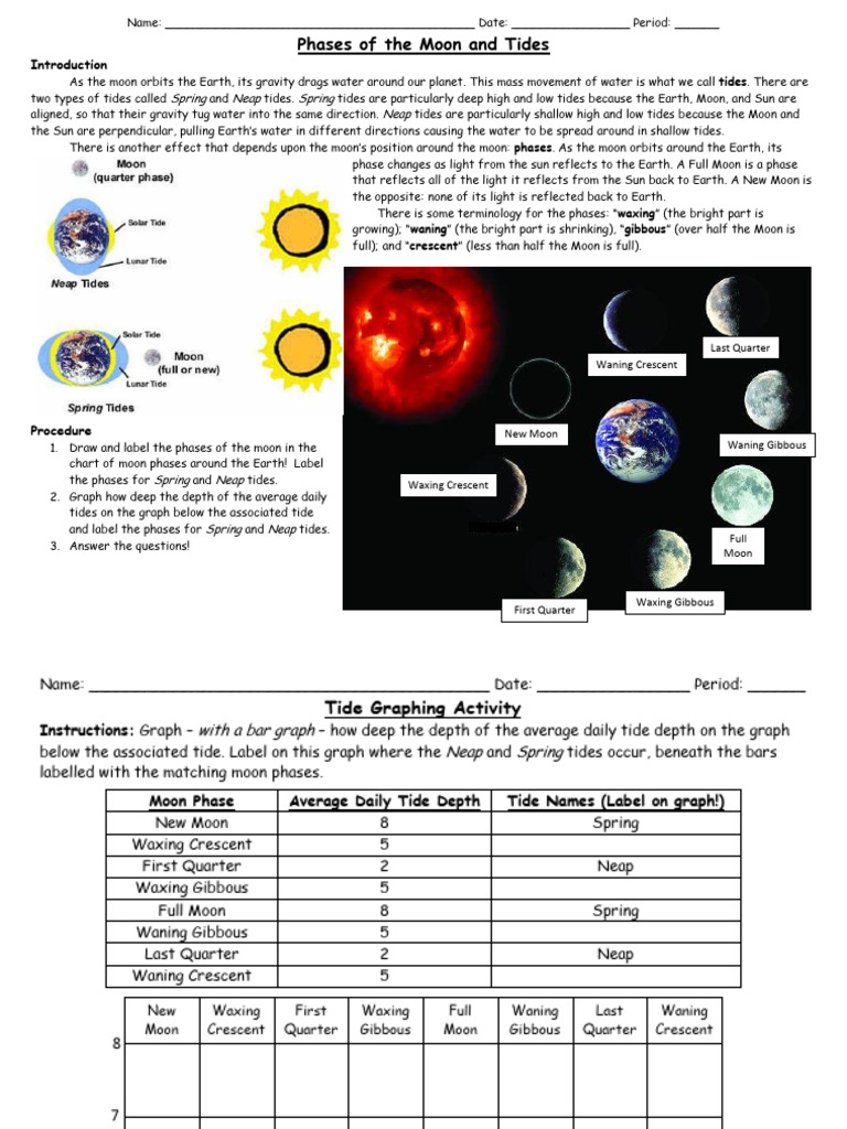 Phases of The Moon and Tides: Spring Neap Spring Neap | PDF | Tide | Moon