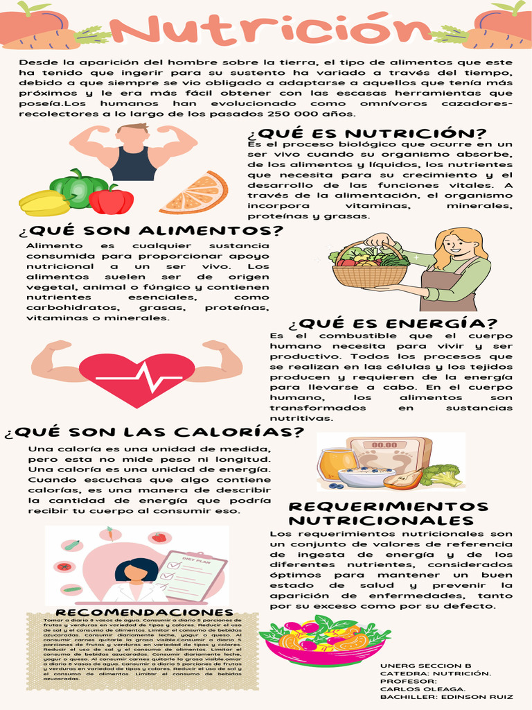 Infografia Nutrición Pdf