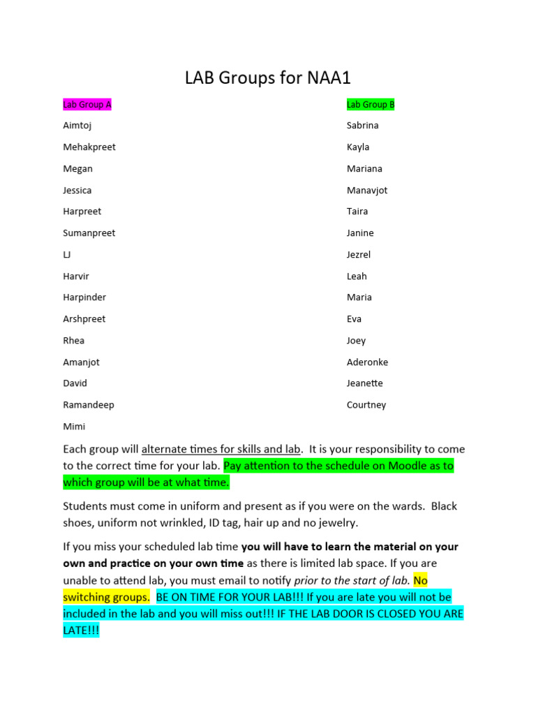 Lab Groups for Nursing Arts and Assessment 1 | PDF