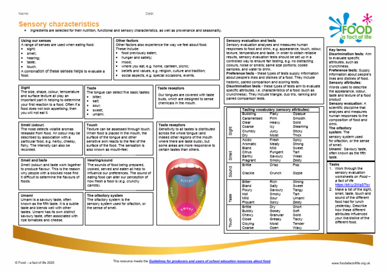 Sensory Characteristics Ko 11 14c | PDF