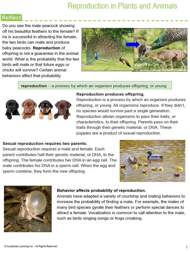 Reproduction in Plants and Animals | PDF | Wellness