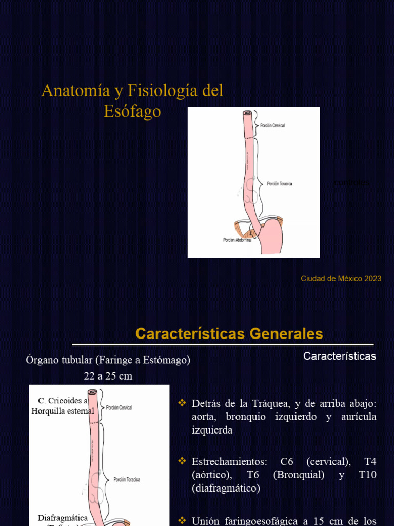 Enfermedades del Esófago | PDF | La enfermedad por reflujo ...