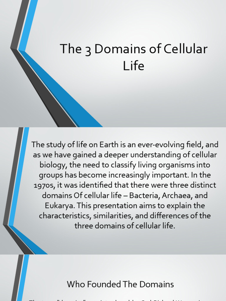 The 3 Domains of Cellular Life | PDF | Science & Mathematics