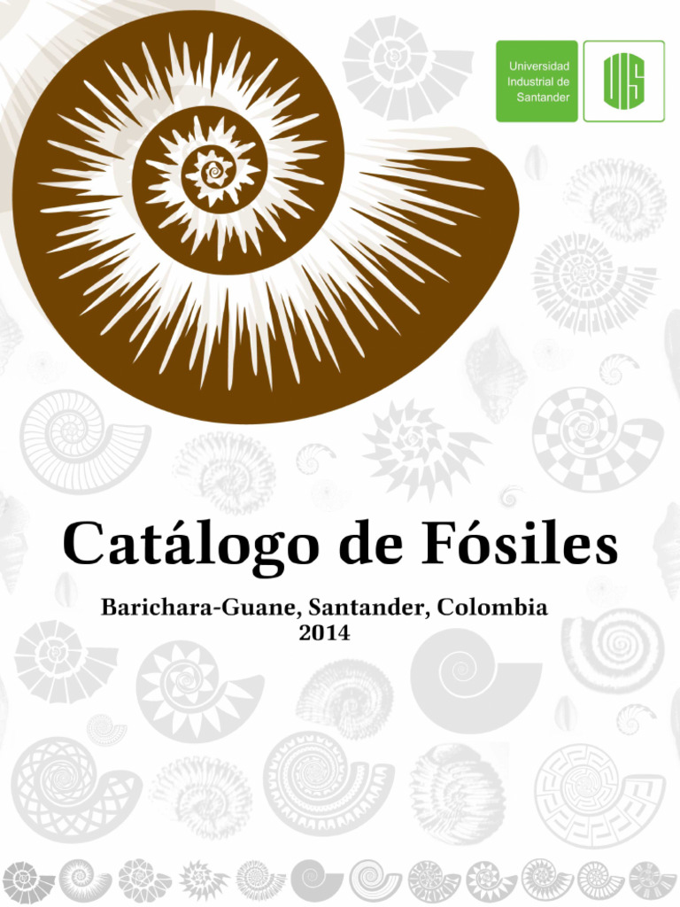 Catalogo Final | PDF
