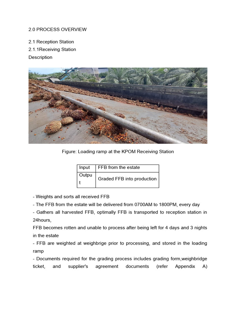 FFB Processing and Grading Overview | PDF | Steam