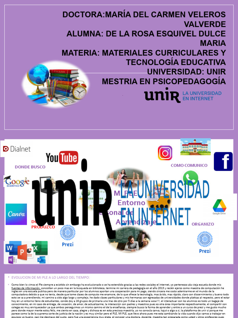 Mi Ple | PDF | Aprendizaje | Conocimiento