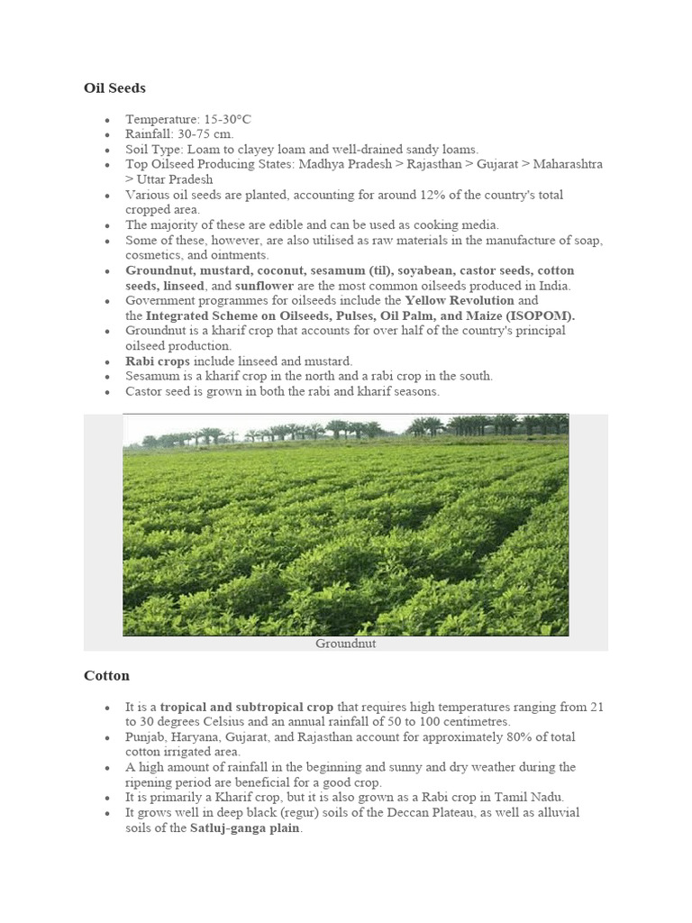 Cash Crops 2 | PDF | Agriculture | Jute