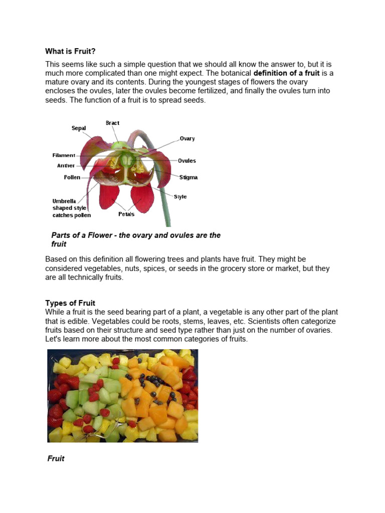 Fruits | PDF