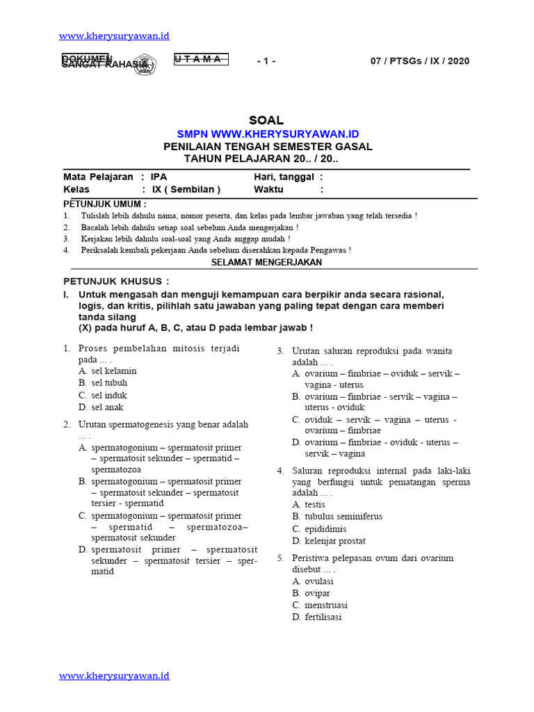 Pts Ipa Kls 9 MMH | PDF