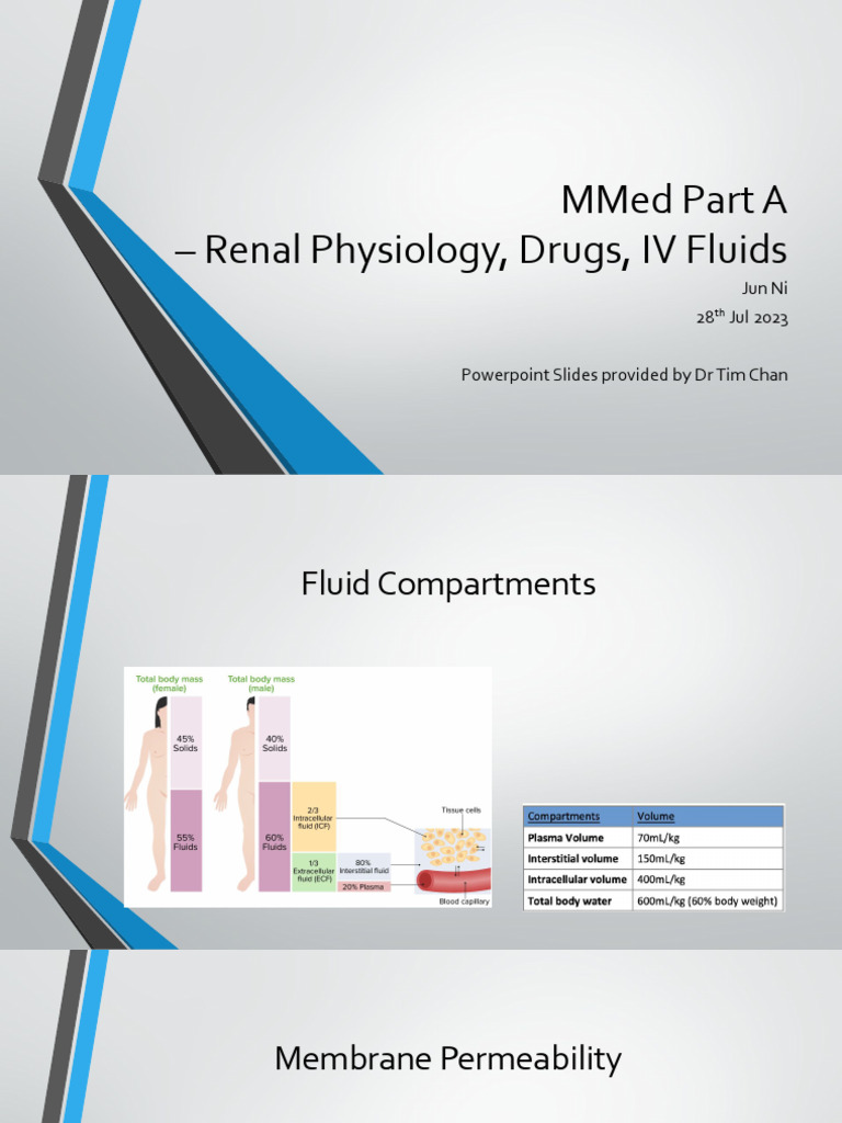 2023(2) Part A (23) Fluids, Renal Physiology, Drugs.pptx | PDF