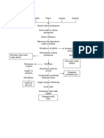 Pathway DHF | PDF