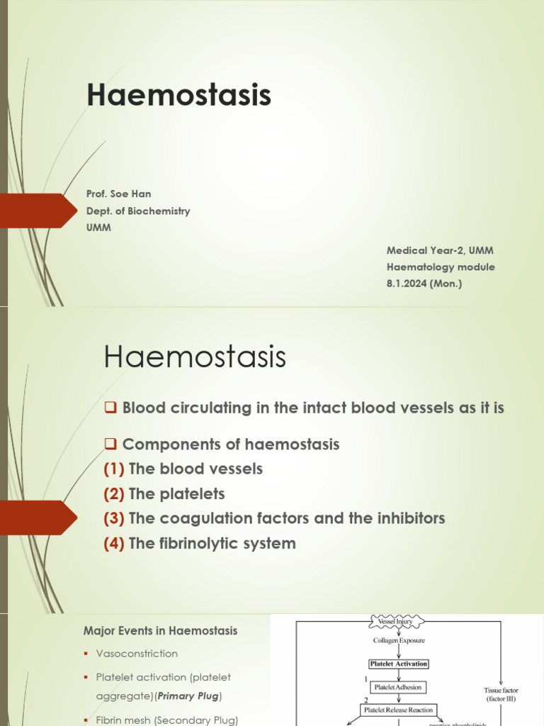 Haemostasis and Proteases | PDF