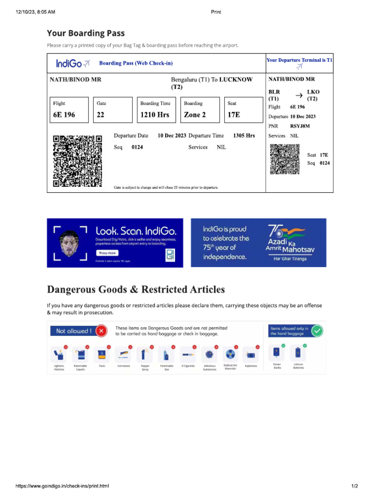 Binod_Boarding pass | PDF