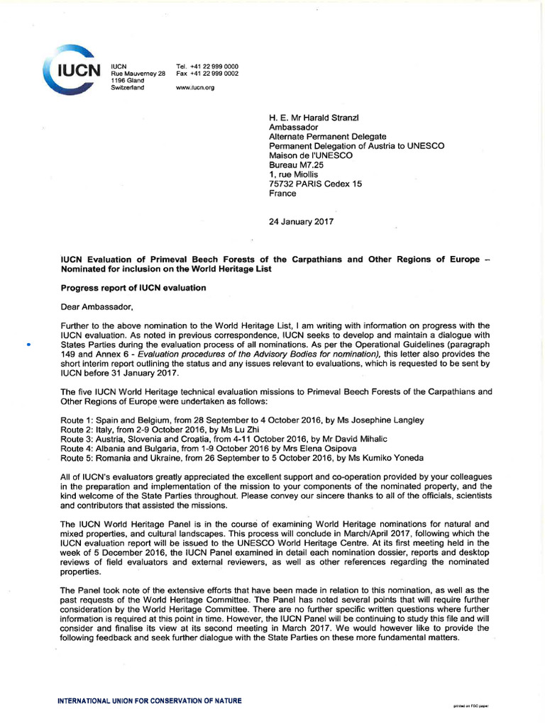 Interim Report-En | PDF