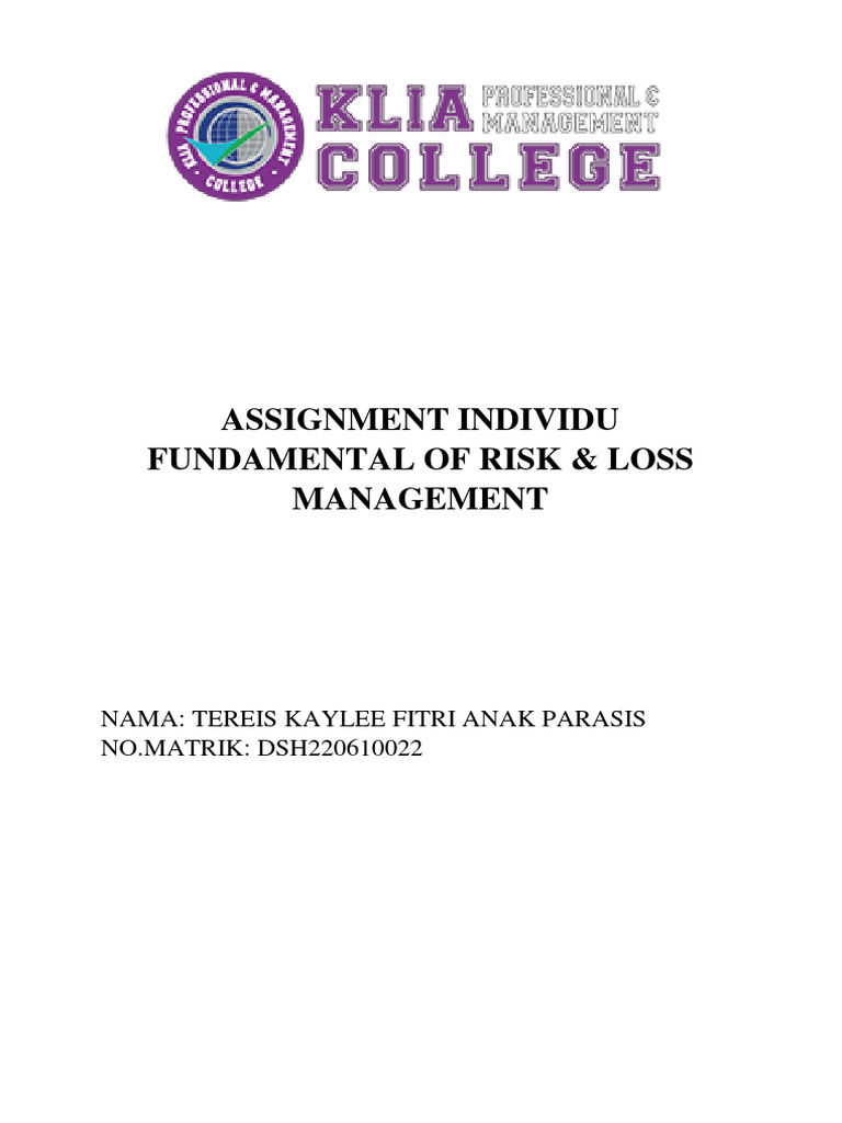 Assignment Individu Fundamental of Risk and Loss Management | PDF