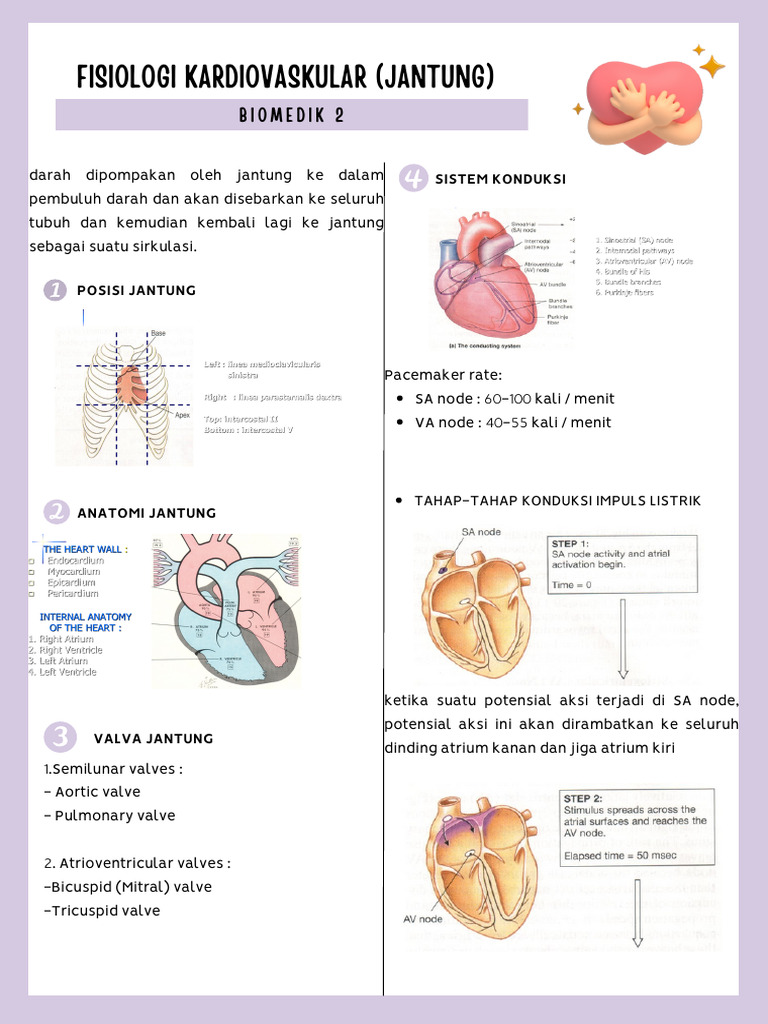Catatan Fisiologi Jantung Kardiovaskular | PDF