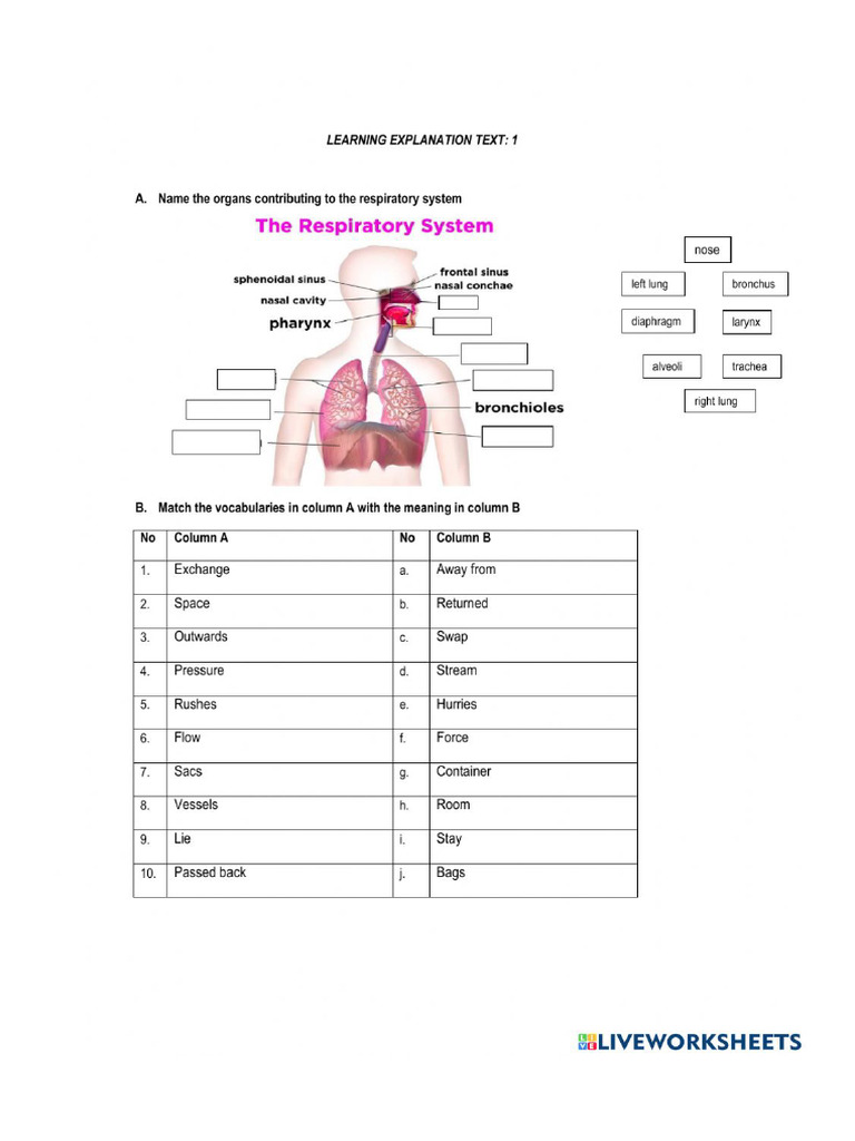 LKPD Explanation | PDF LKPD Explanation | PDF