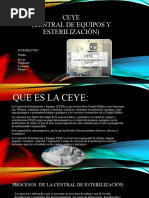Ceye | PDF | Enfermería | Hospital