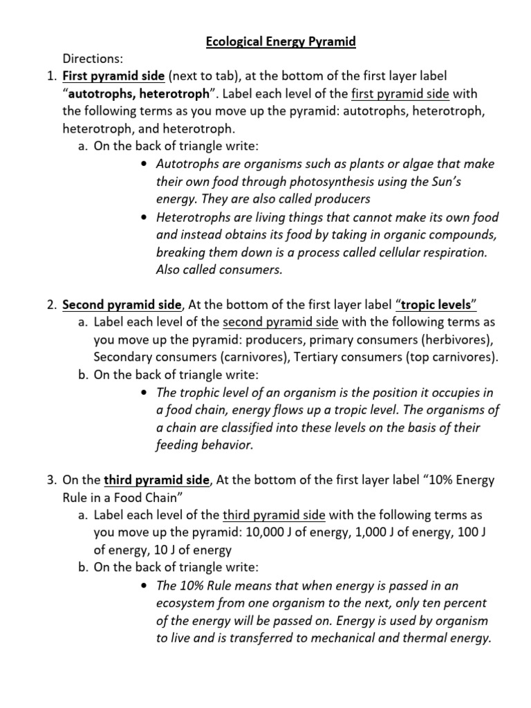 Energy Pyramid | PDF